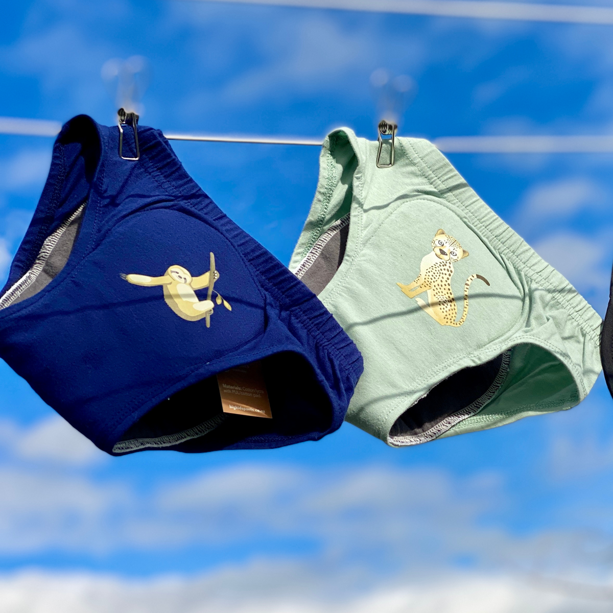 Big Kids Pants | Reusable Training Pants, Pullups & Incontinence Unde